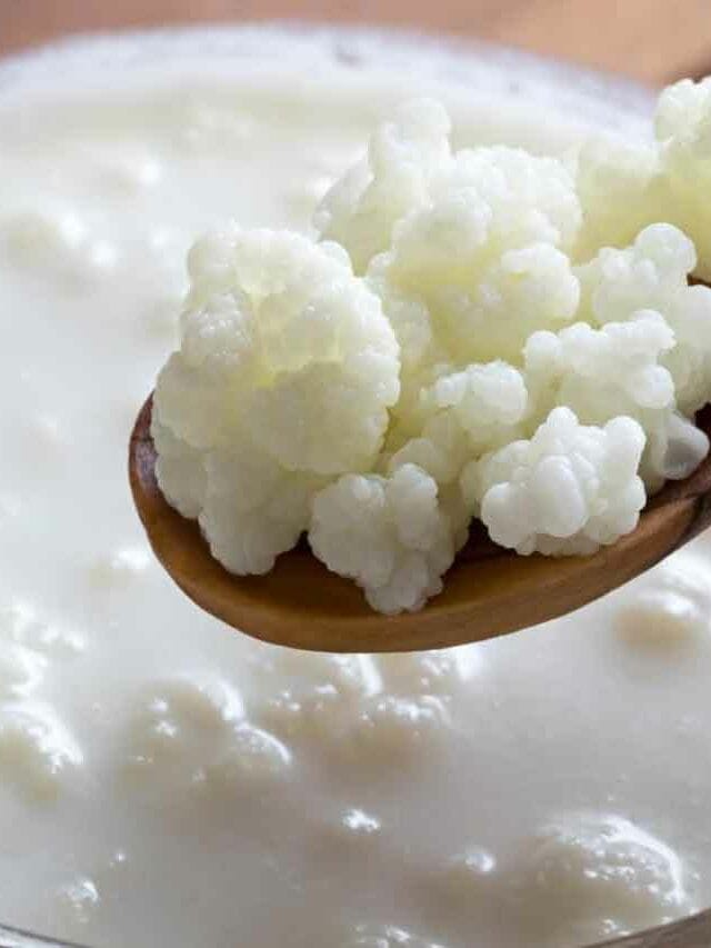 Como fazer Kefir em casa - Descomplicando Receitas