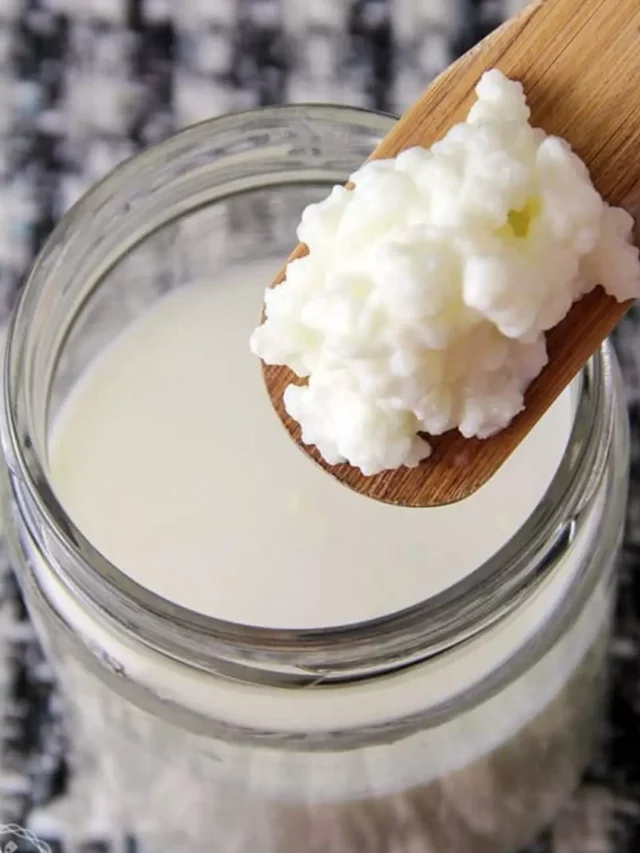 Como Fazer Kefir Em Casa